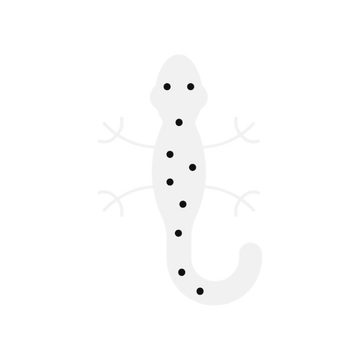 Women Collection – Semender Leather Goods